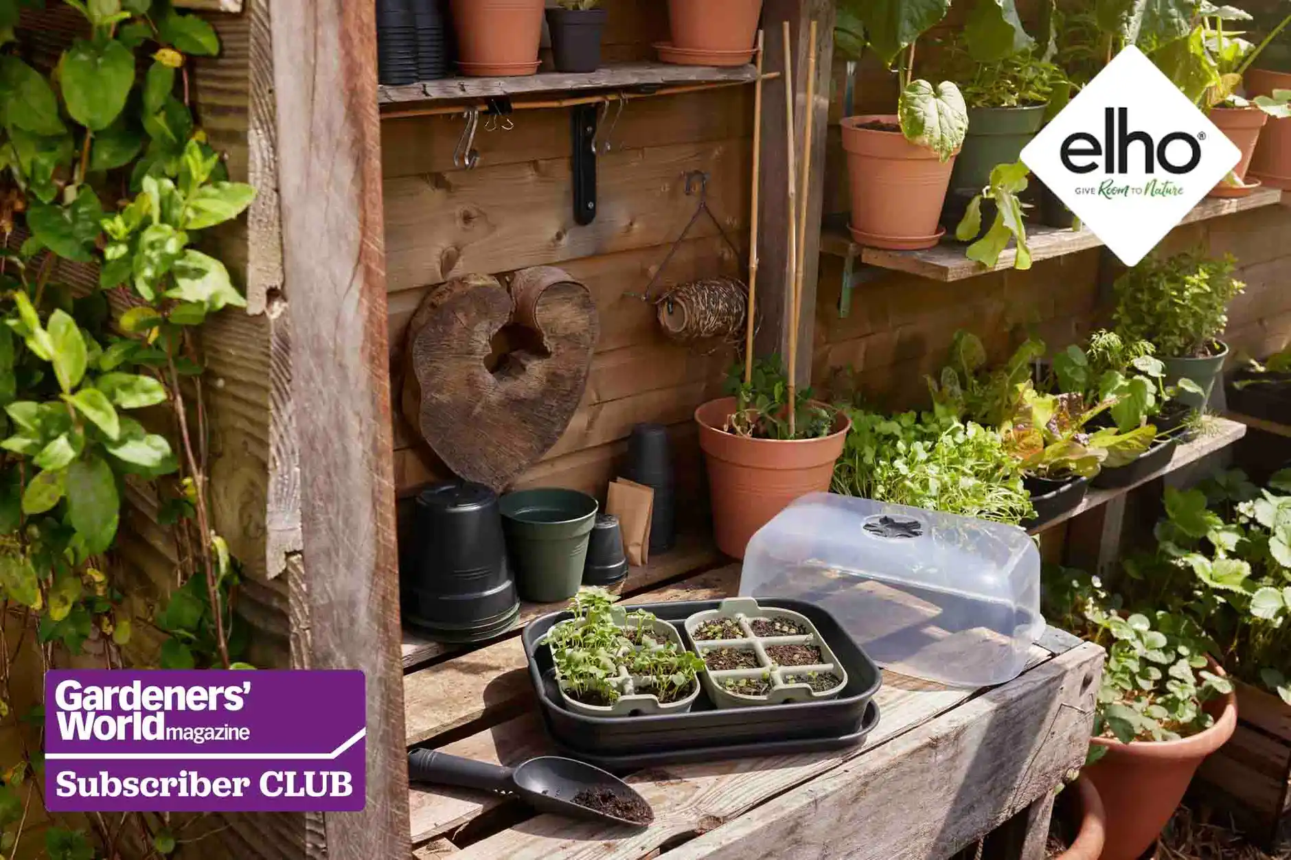 Win a GYO set from elho, worth over £50