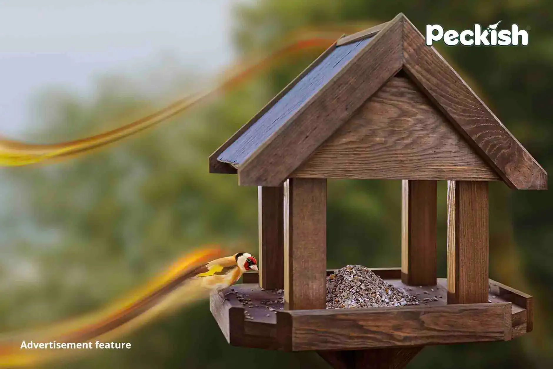 Win the ultimate bird care bundle from Peckish, worth over £250