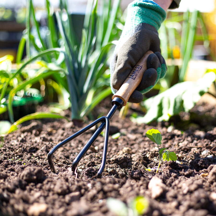 Win 1 of 10 AMES Hand 3 Prong Cultivators