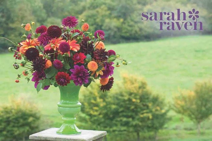 Win the Venetian Dahlia Collection from Sarah Raven, worth £69.95
