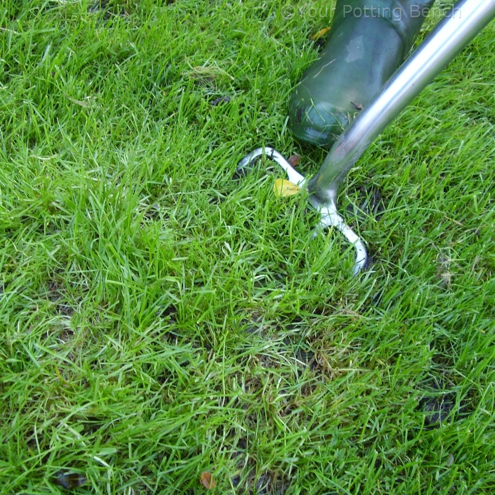 How to keep a lawn drained